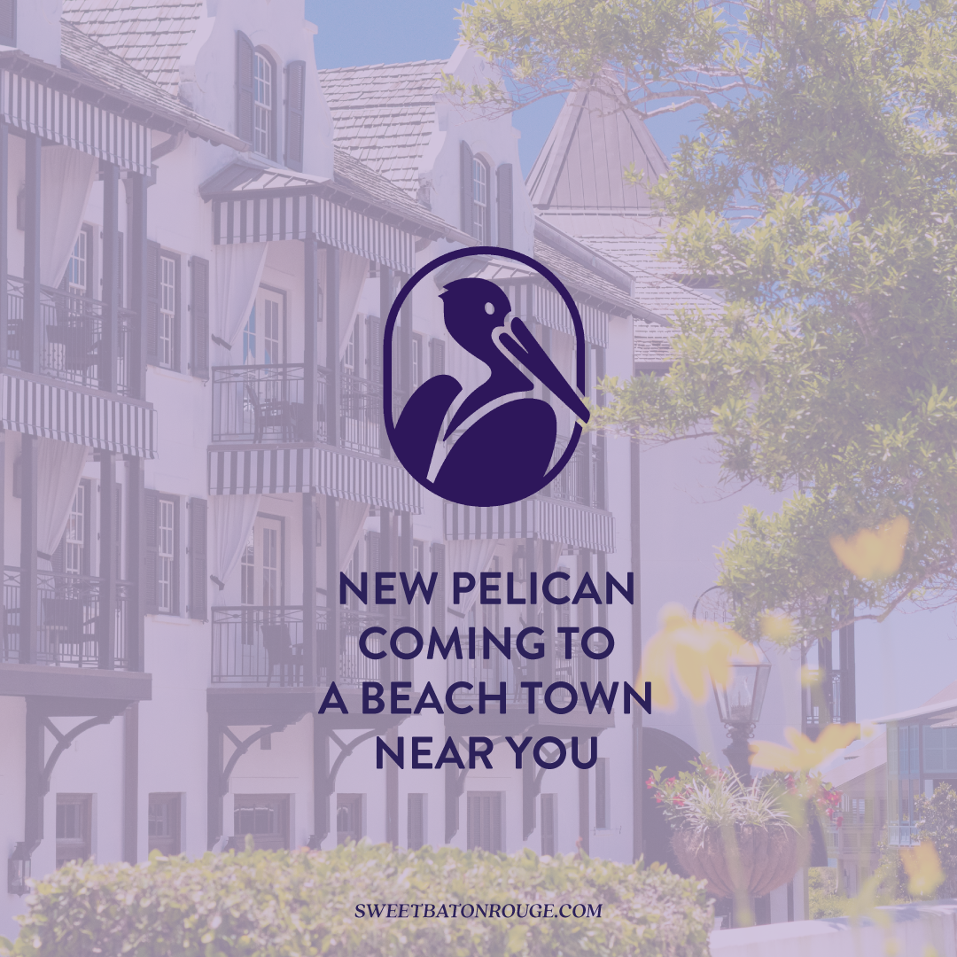 Exclusive Sneak Peek: Behind the Scenes of Our Beach Photoshoot ...